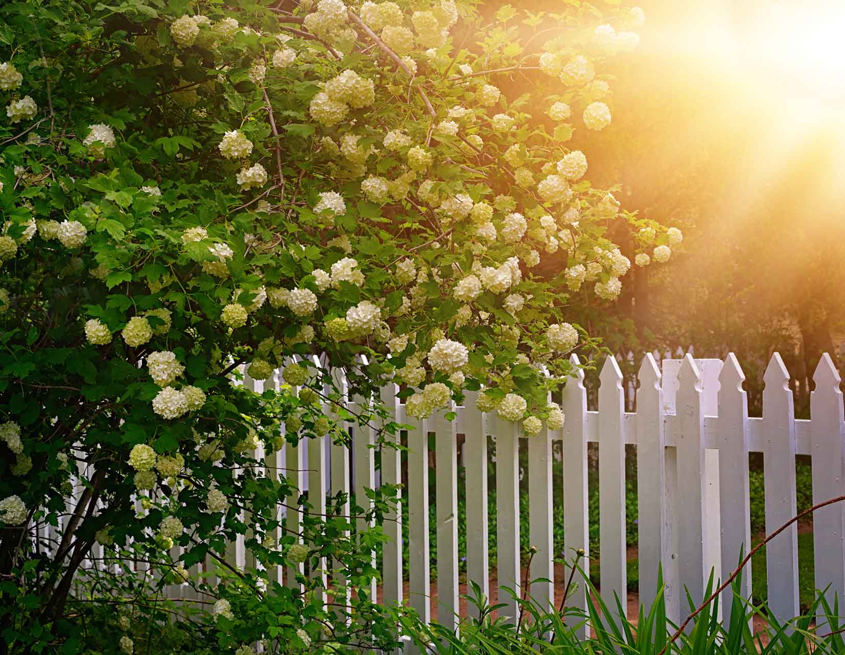 Green Horizons Landscaping Project Gallery - Lawn Care Services ...